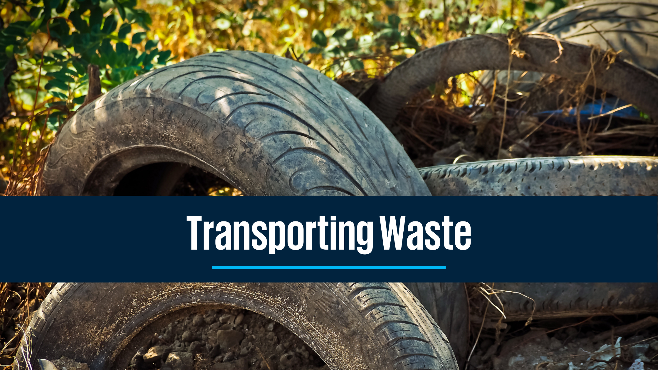 Duplicating Movements and Transporting Waste